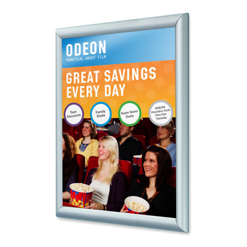 Posters and Snap Frames | Easy to swap custom graphics