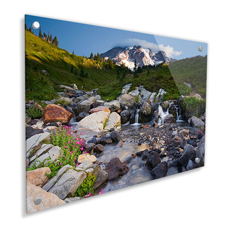 Create Your Own Masterpiece with Custom Printed Acrylic Art